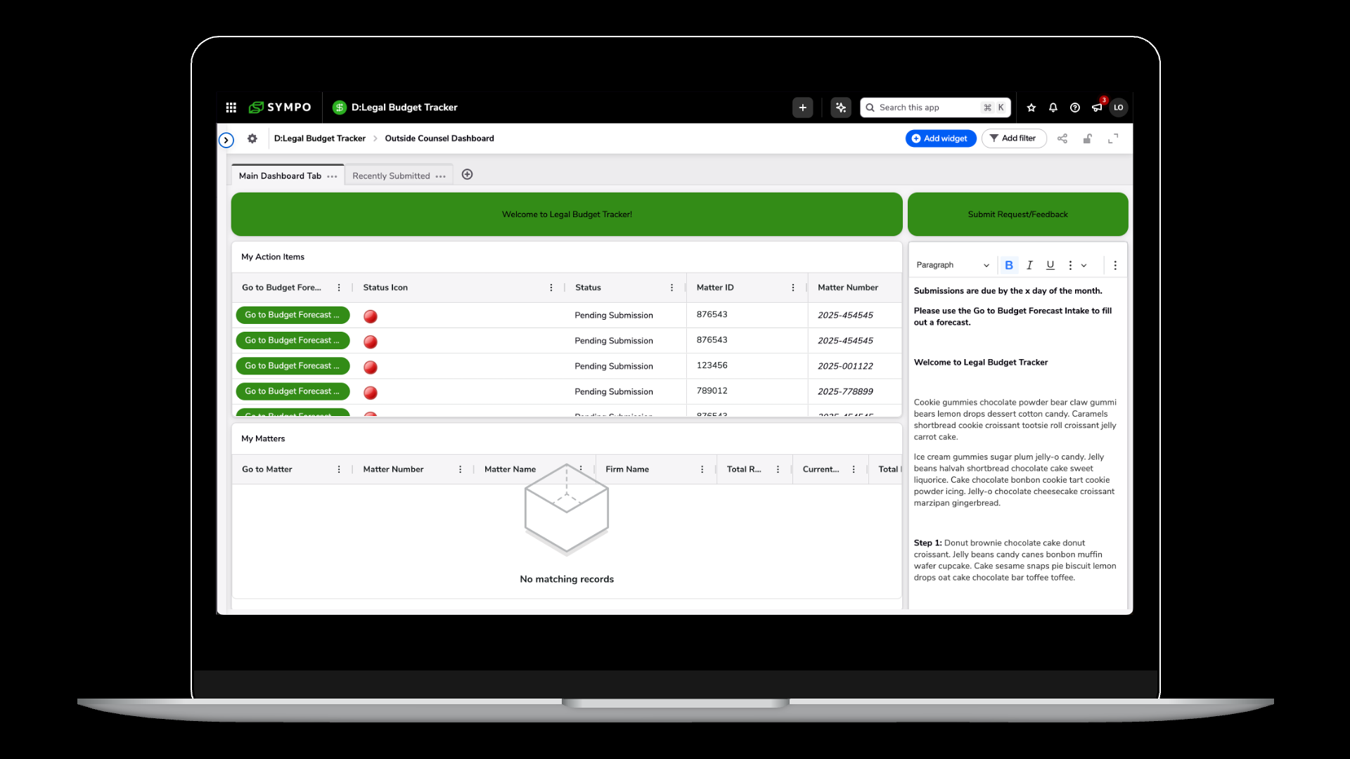Legal Budget Tracker - Case Study